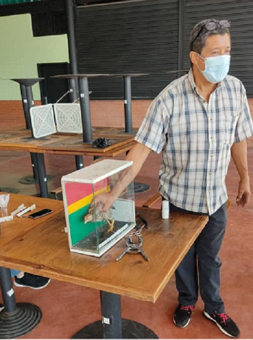 Inicio - Sistema Marcaje