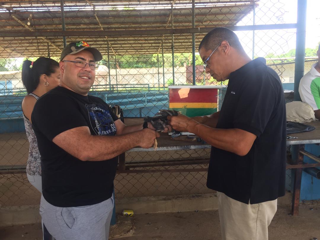 Inicio - Sistema Marcaje