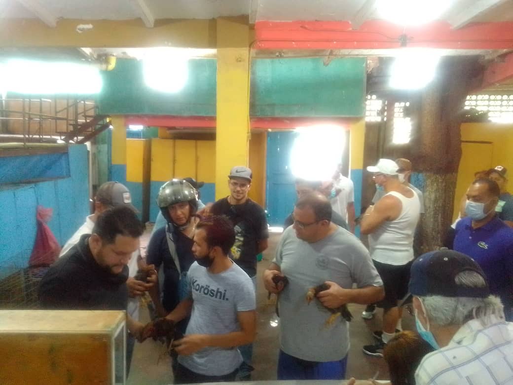 Inicio - Sistema Marcaje