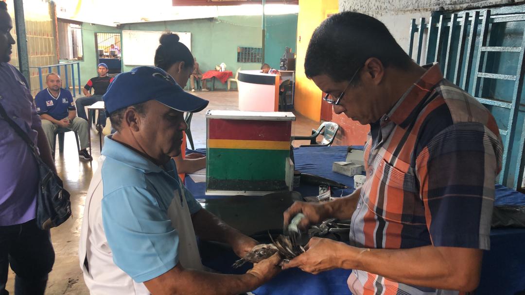 Inicio - Sistema Marcaje