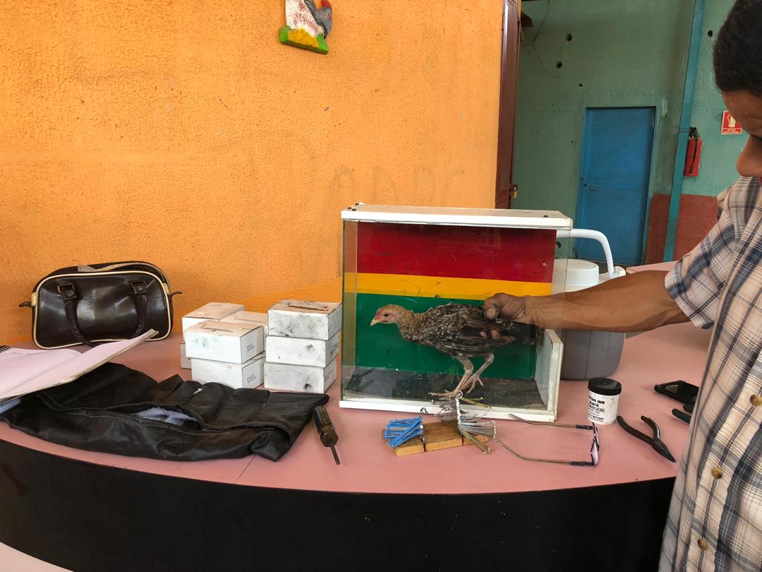 Inicio - Sistema Marcaje