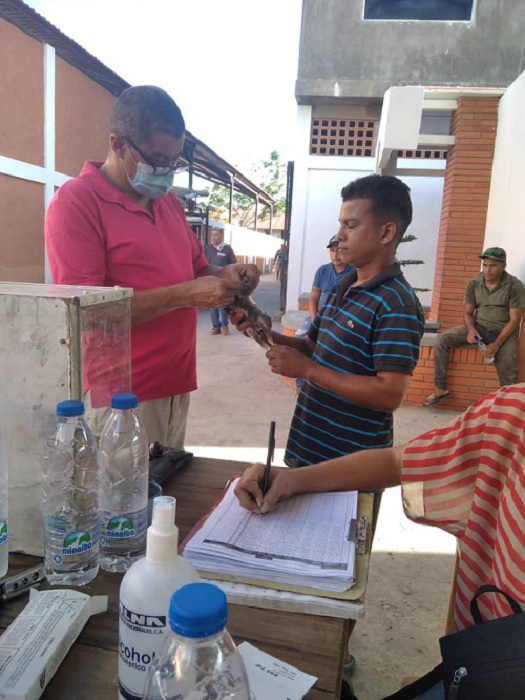 Inicio - Sistema Marcaje