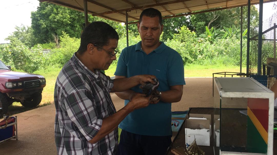 Inicio - Sistema Marcaje